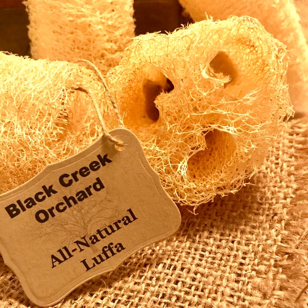 Luffa Sponge - Etsy