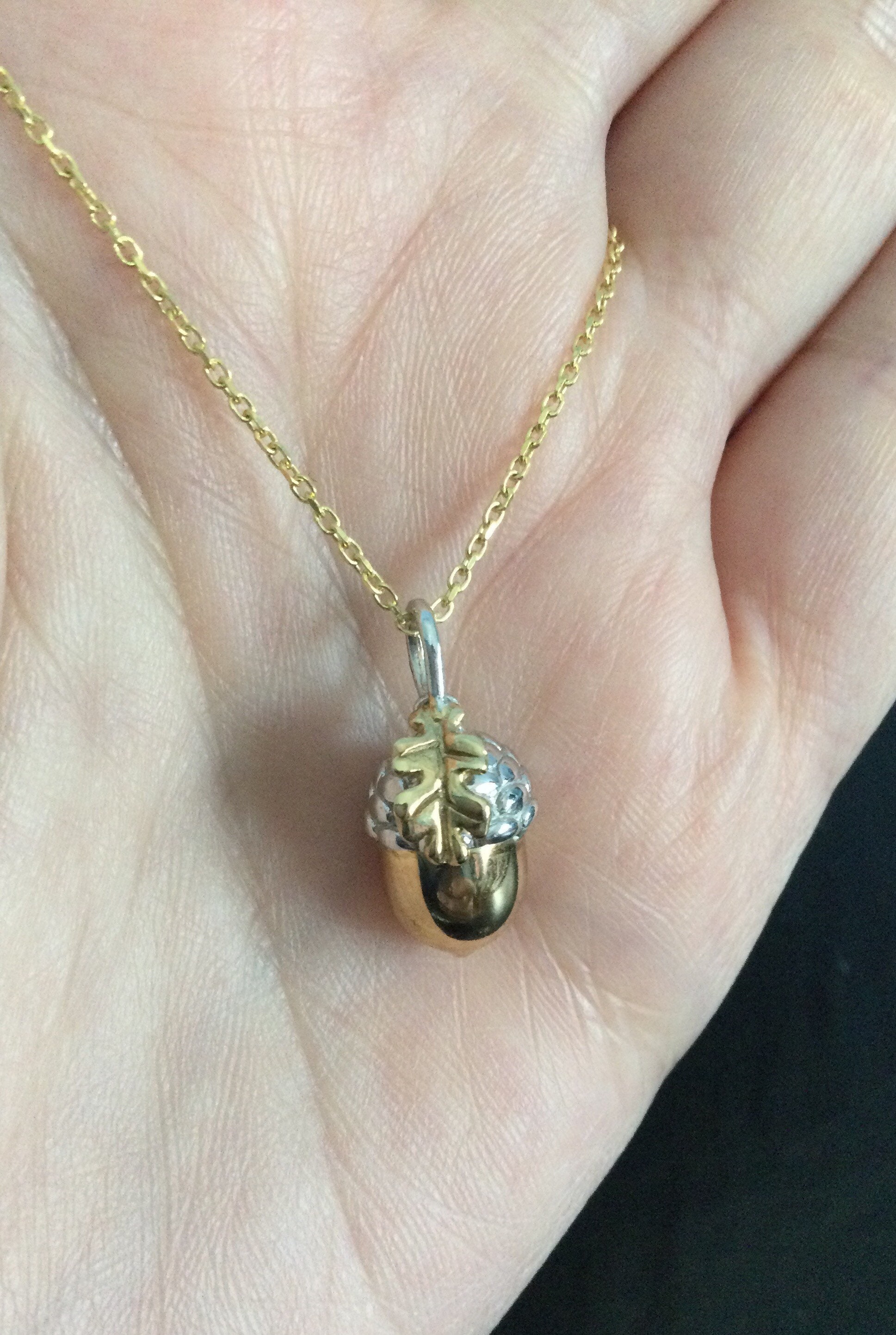 Silver Gilt Acorn Pendant and Chain - Etsy