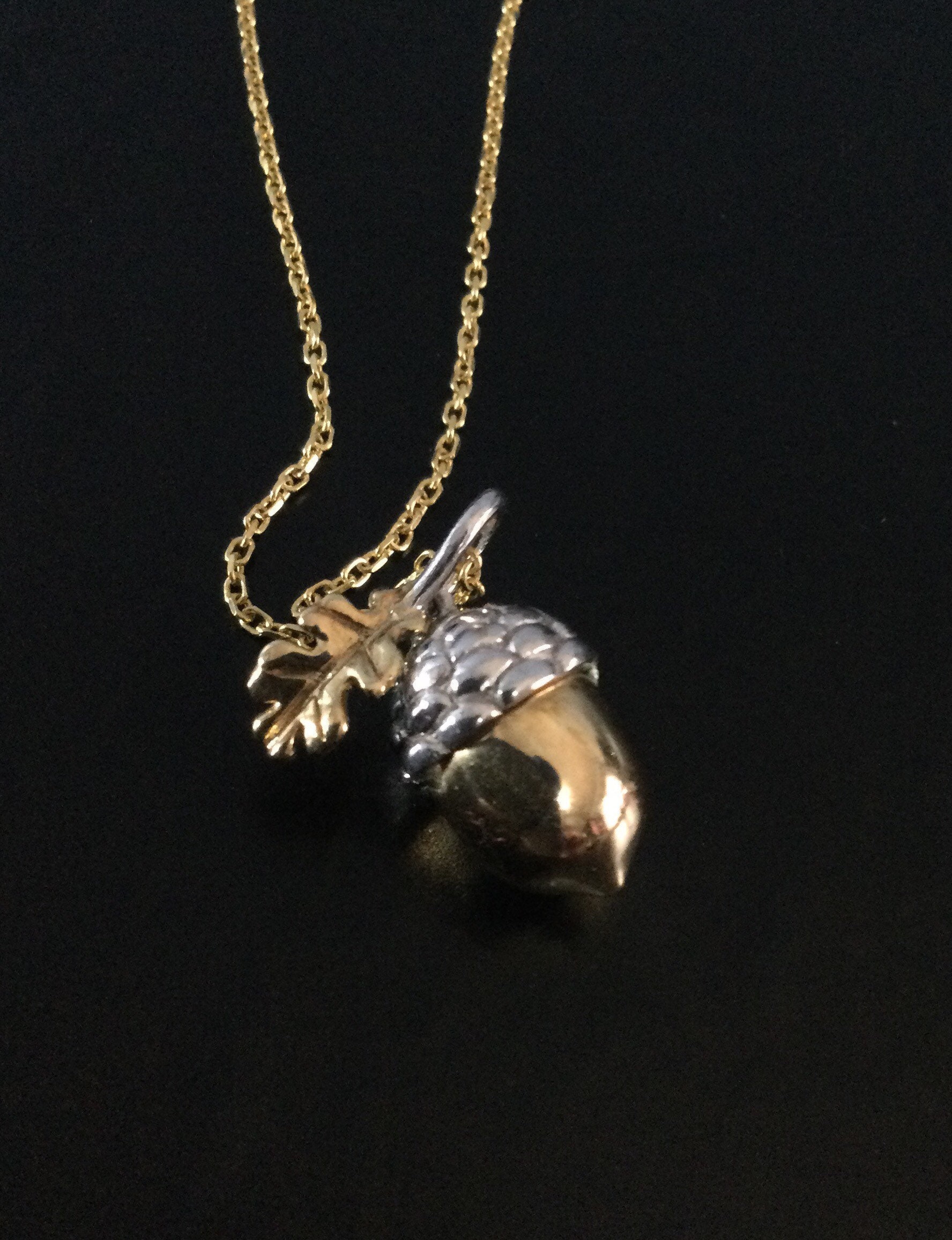 Silver Gilt Acorn Pendant and Chain - Etsy