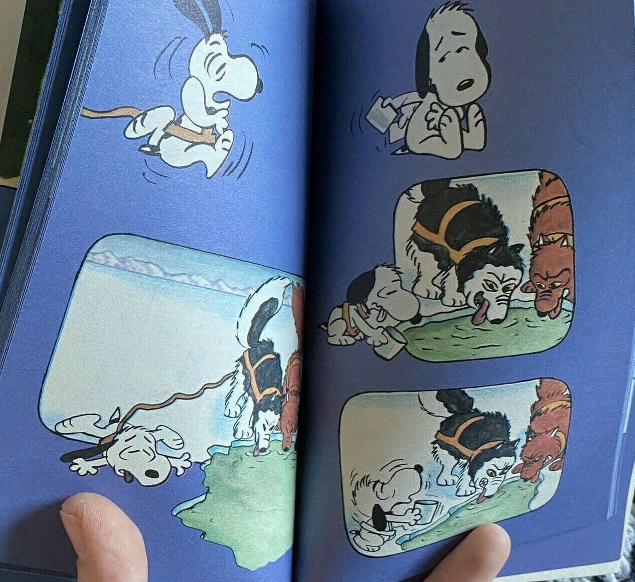 A Charlie Brown Collection 3 Full-color PB Boxed Set 1970s | Etsy