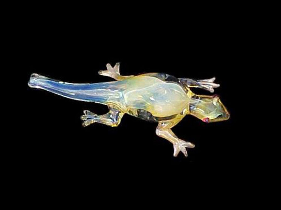 Hand Blown Glass Lizard Pipe - Etsy