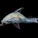 Dolphin Pipe - Etsy