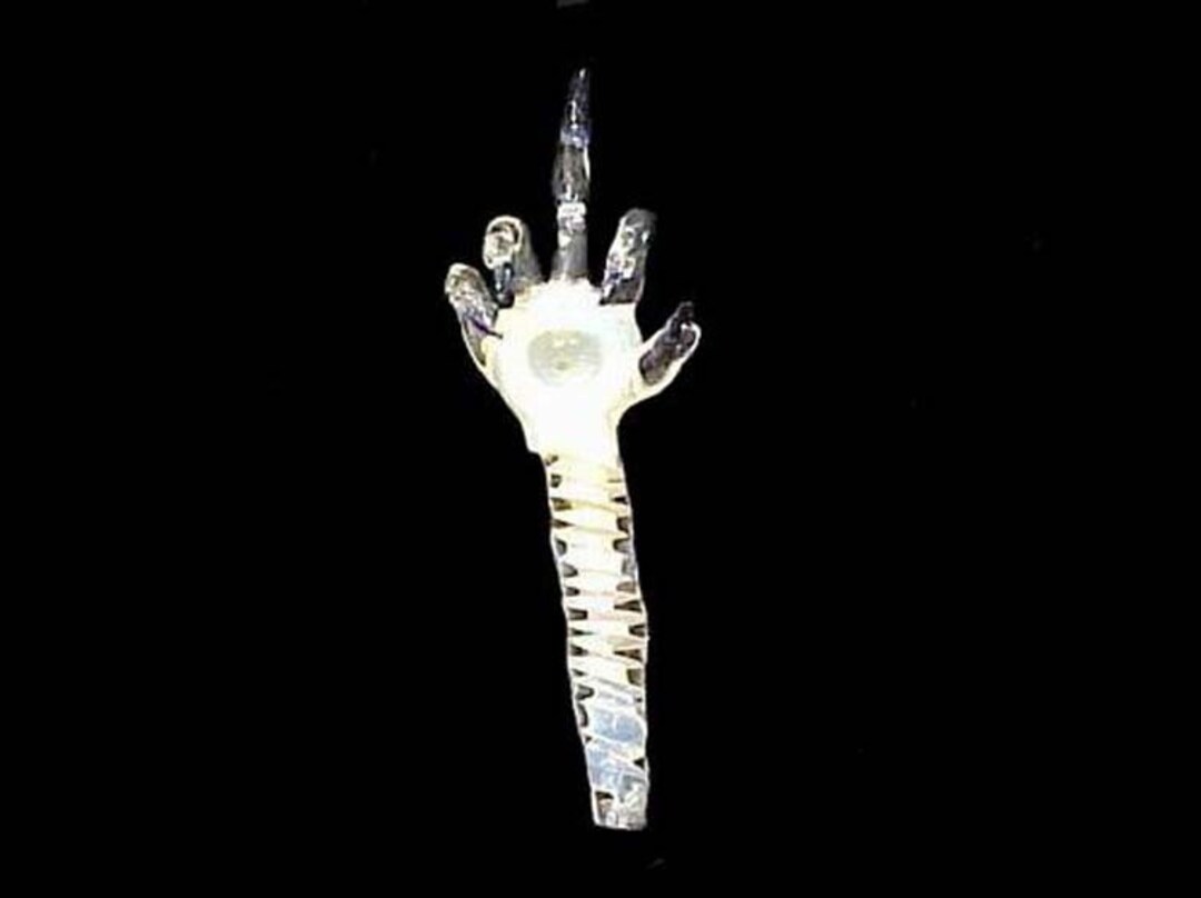 Hand Blown Glass Middle Finger Skeleton Pipe. - Etsy