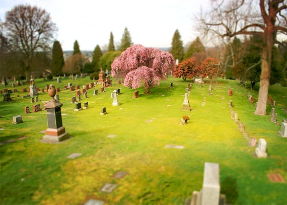 Miniature Cemetery 4 Giclée Art Print Tilt-shift | Etsy