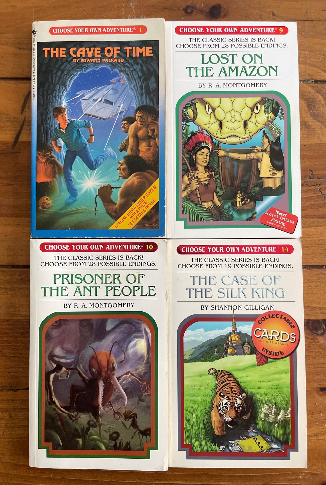 Choose Your Own Adventure Books - Etsy