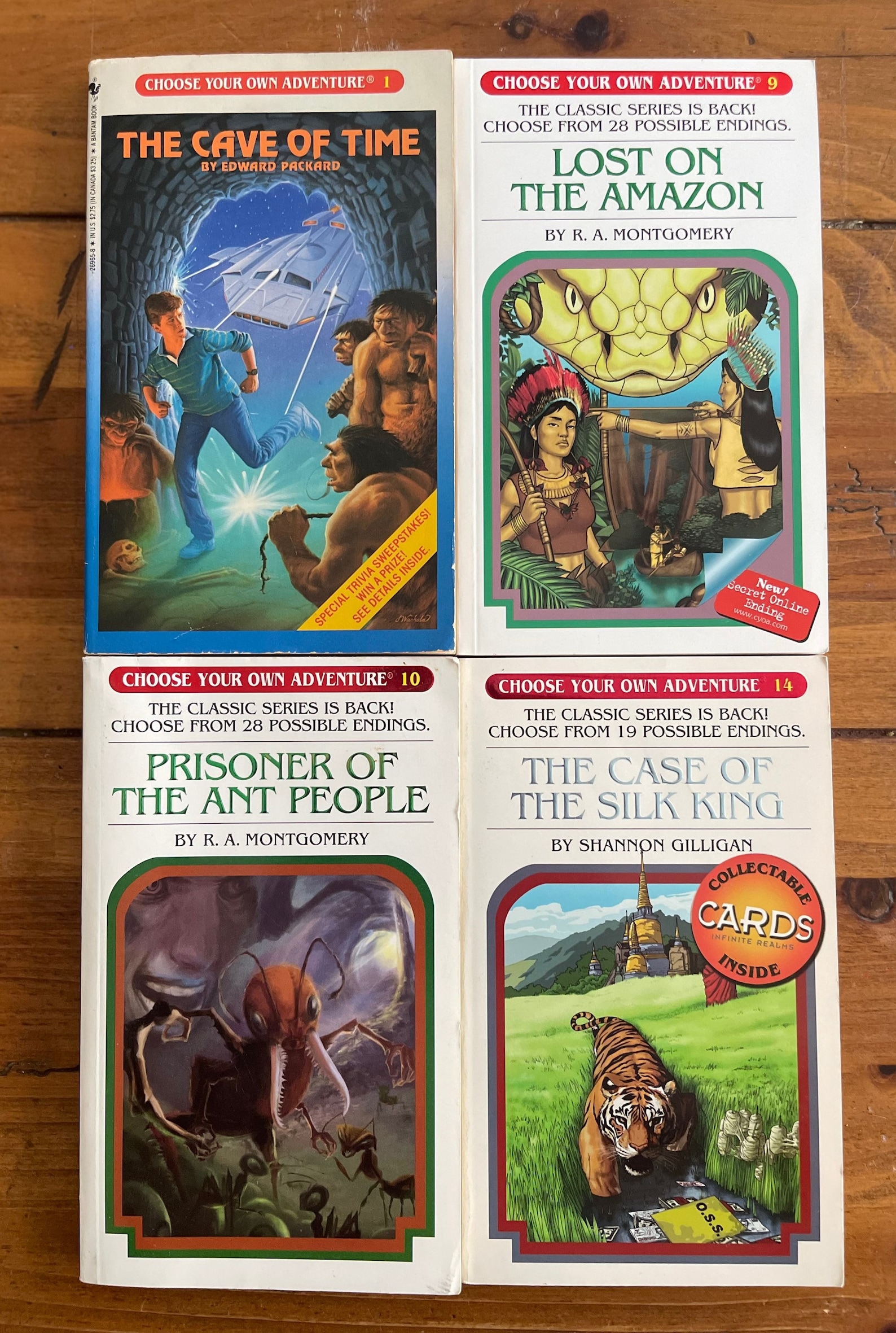 Choose Your Own Adventure Books - Etsy