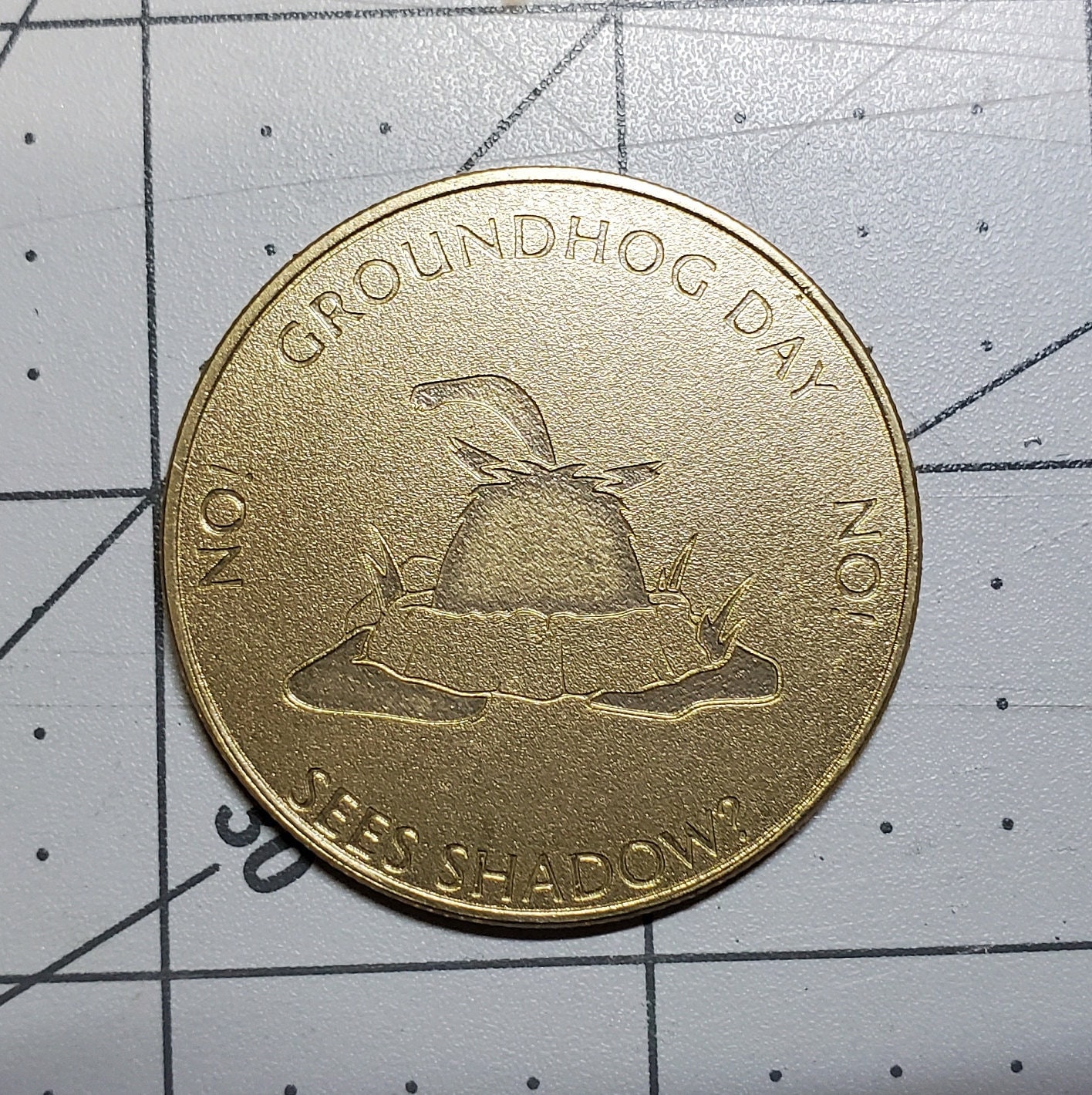 Groundhog Day Flip/decision Coin - Etsy