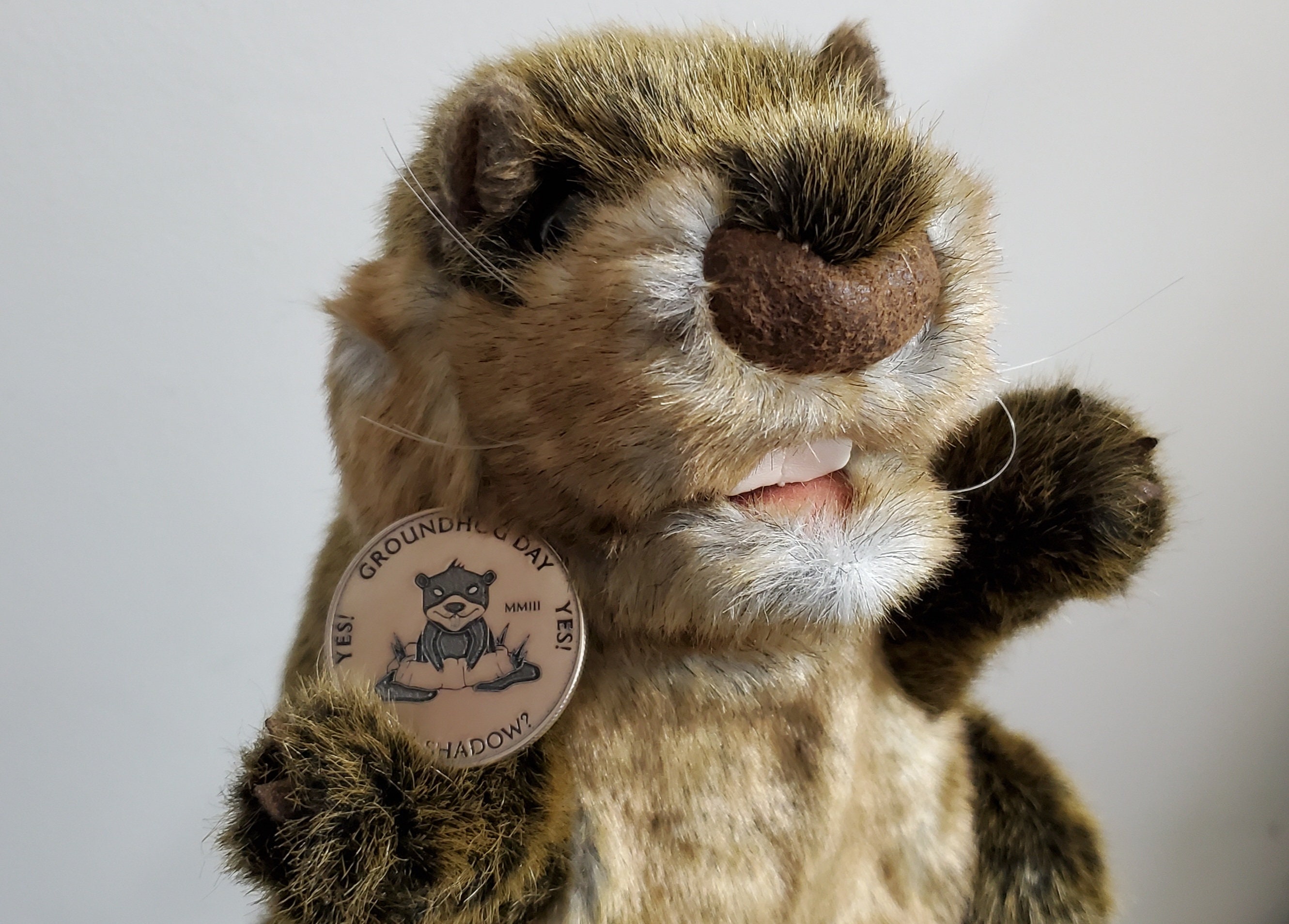 Groundhog Day Flip/decision Coin - Etsy