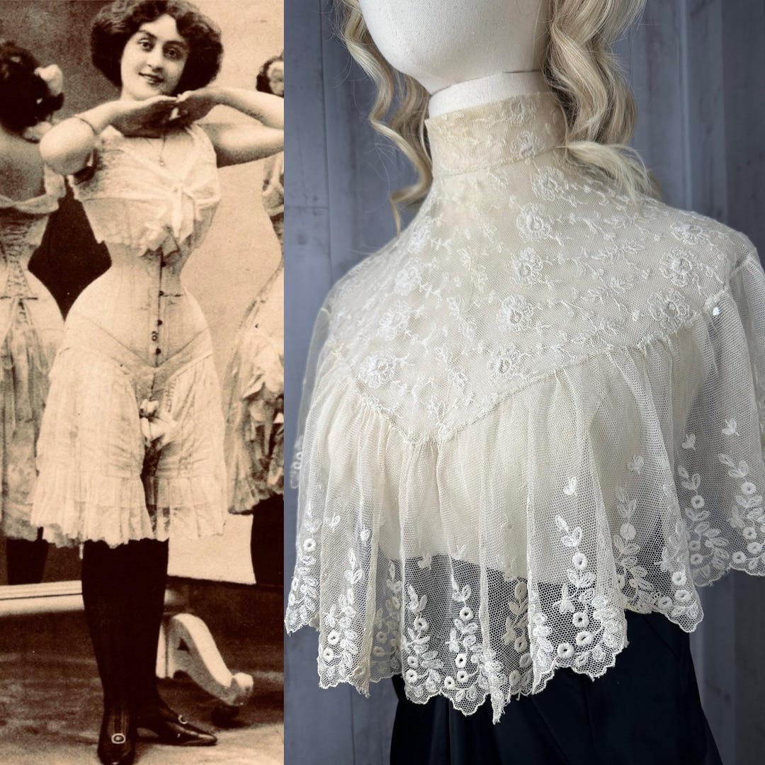 1900s Edwardian Modesty Panel Collar W/sheer Ivory Floral Lace Netting ...