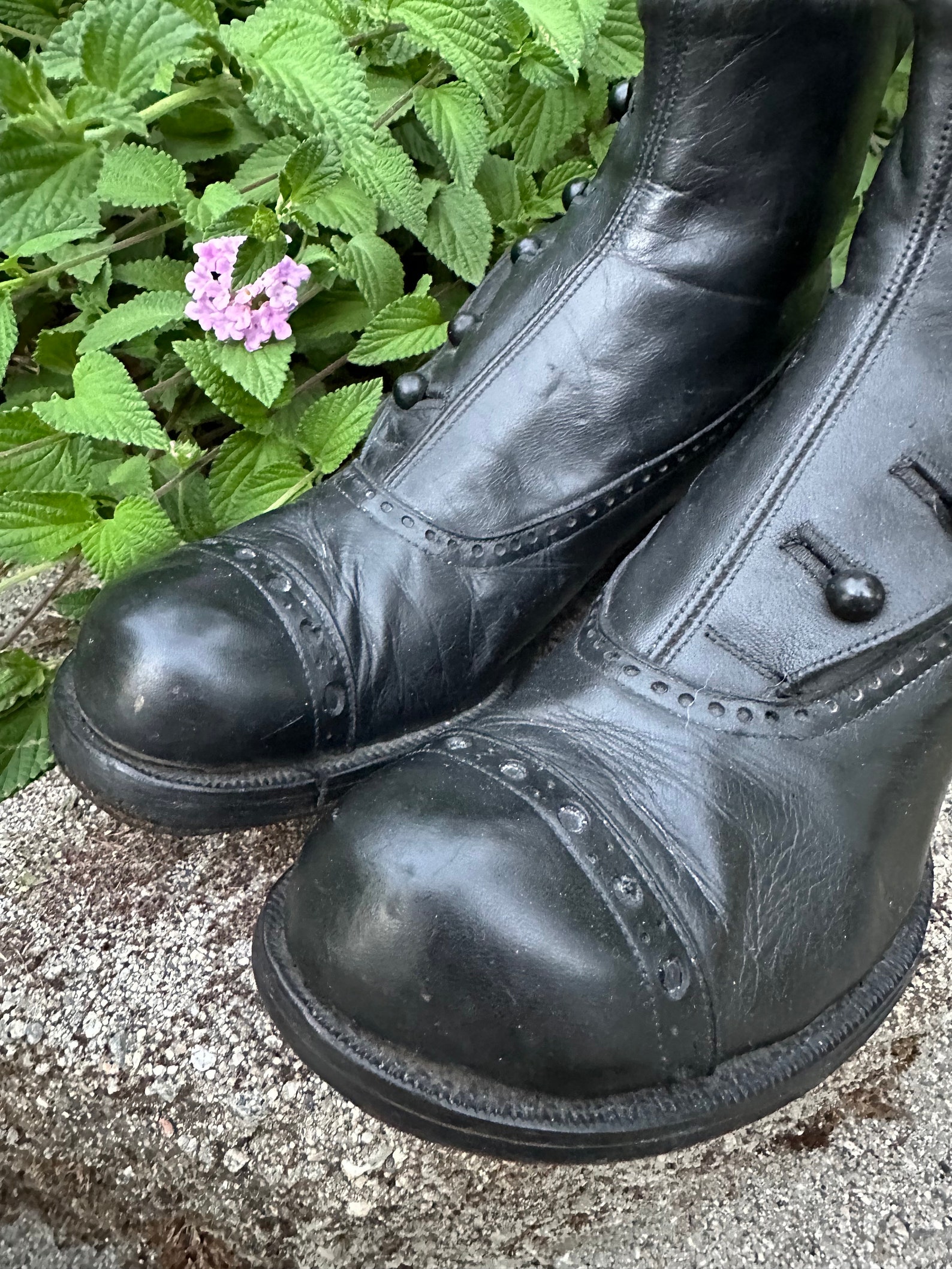 1900s Antique Edwardian Button Boots Shoes Black Leather Mens/womens ...