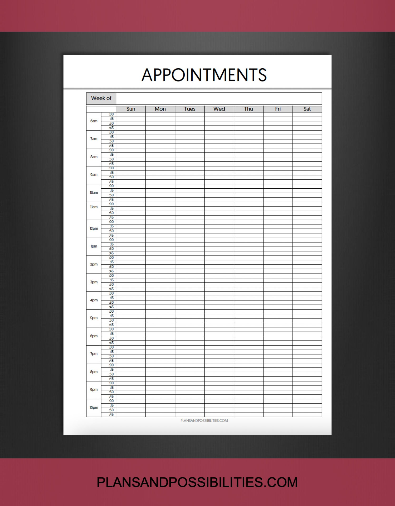 Appointments Printable, Client Appointment Book Printable, Appointment ...