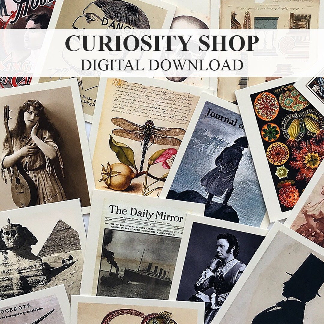 Dollhouse Miniature Curiosity Journal Printable DIGITAL - Etsy