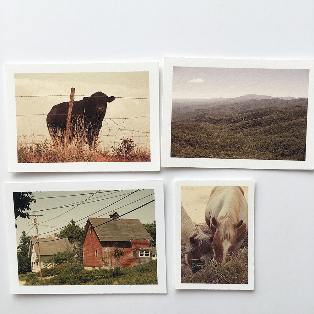 Real Farm Animals Collage