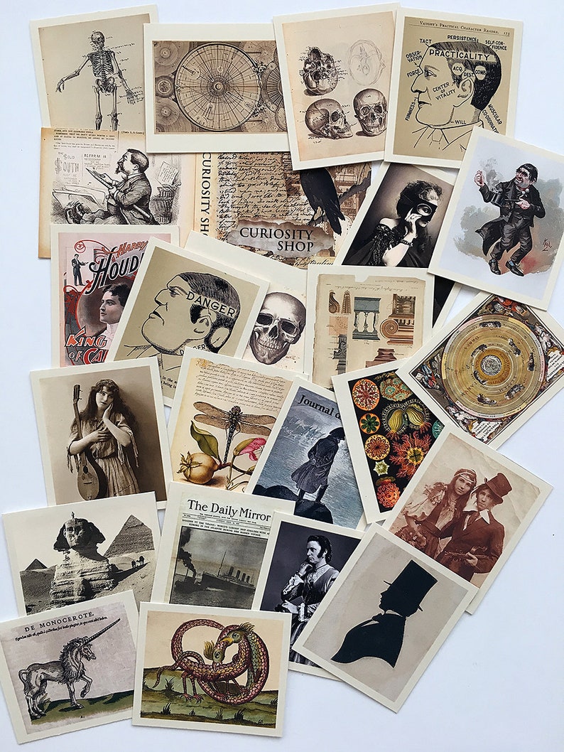 Dollhouse Miniature Curiosity Journal Printable DIGITAL - Etsy