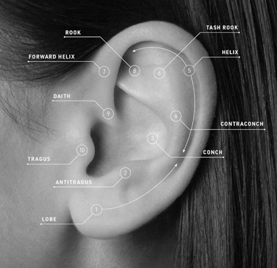 Special Sale Style Exclusive Ear Cuff or Conch Earrings With Black ...