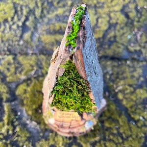 Mini Witch House, Handmade Witch House, Personalized Gift, Custom Made ...