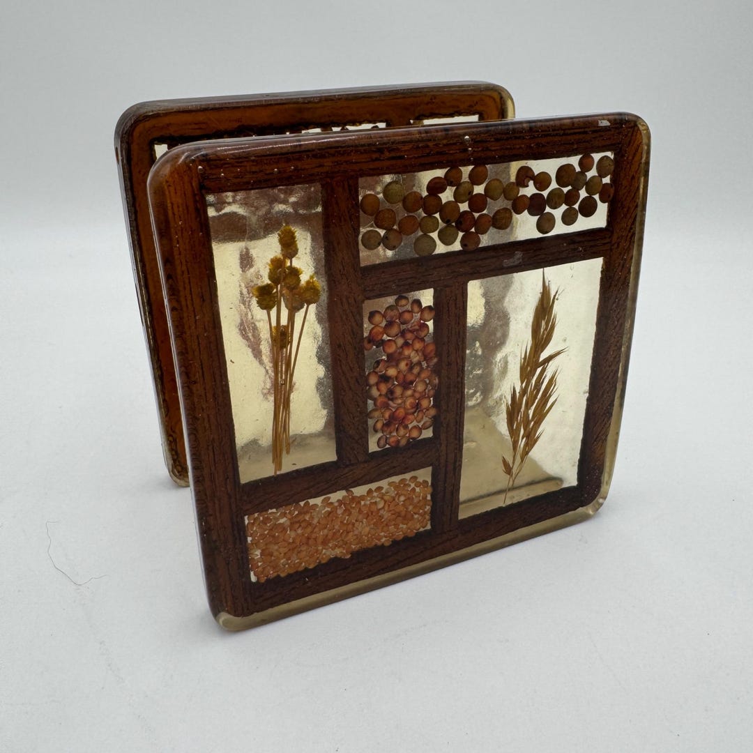 Vintage Colorflo 1970s MCM Acrylic Lucite Napkin Holder With Dried ...