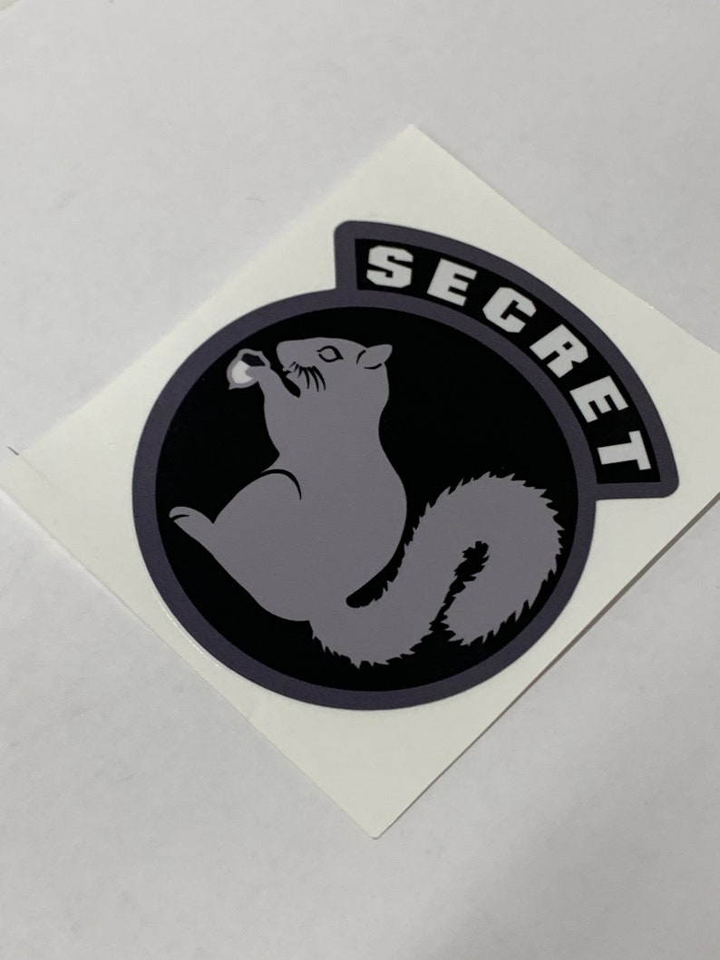 Secret Squirrel Decal | Etsy