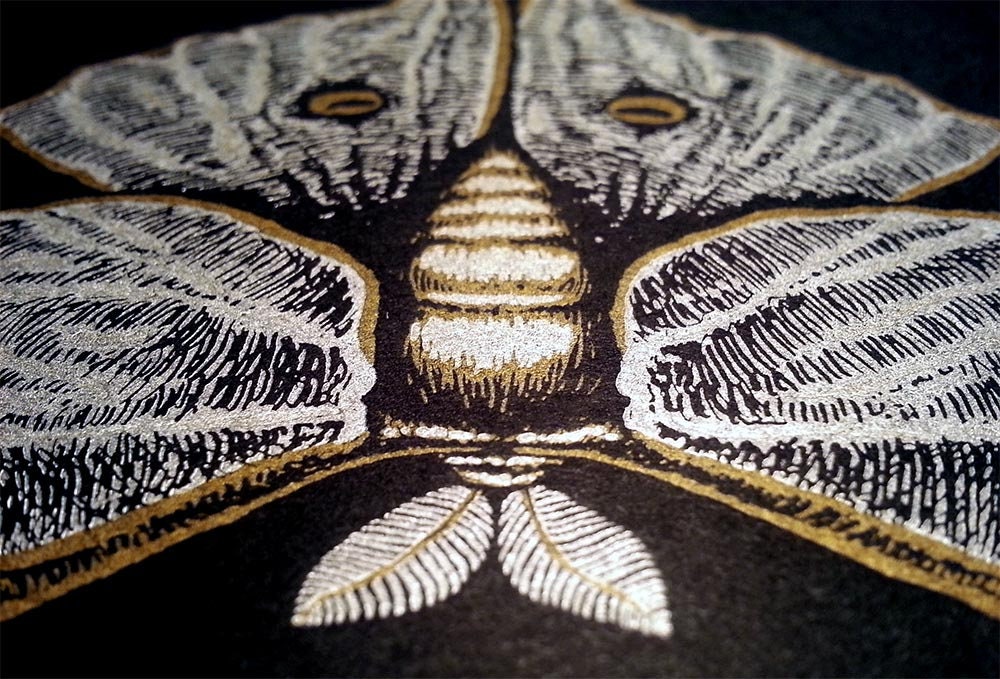 Luna Moth PRINT With Moon Phases, 11x14", Metallic Ink on Black Stock ...