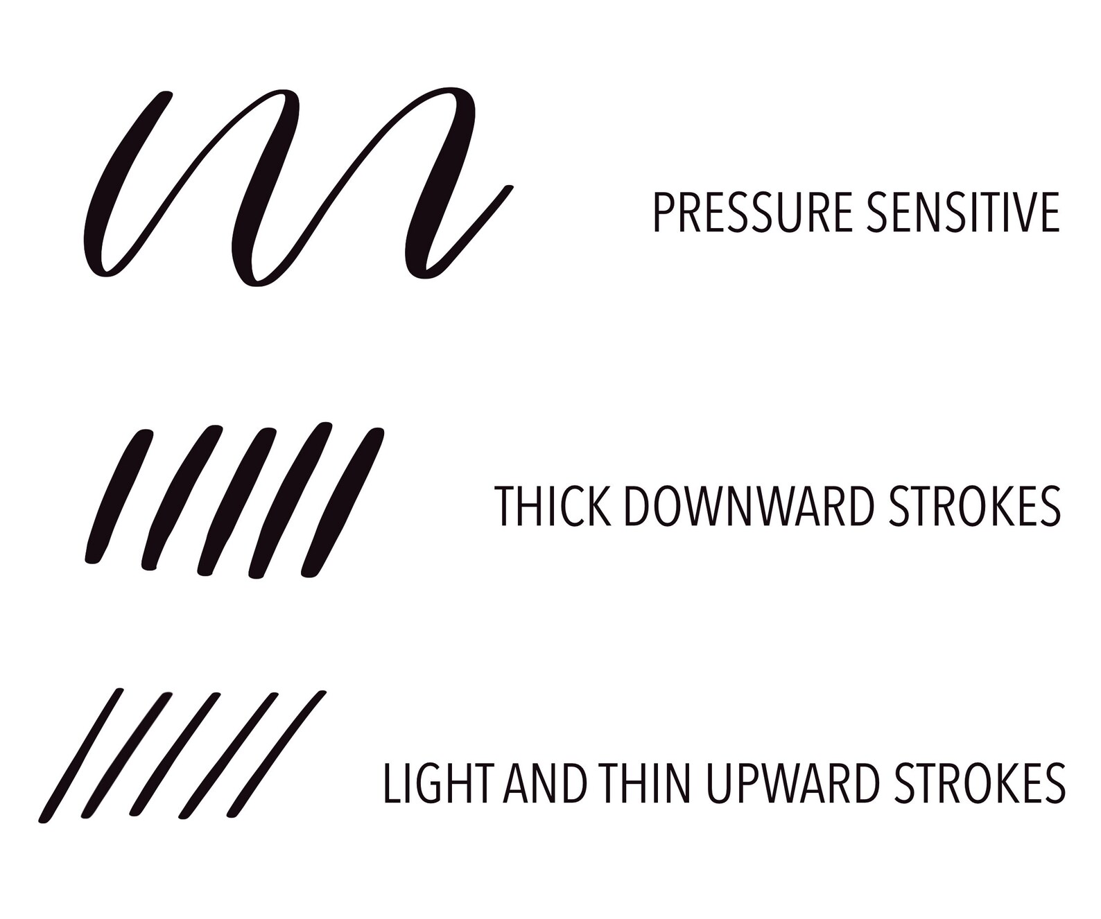 Reign Calligraphy Procreate Brush Ipad Lettering Instant | Etsy