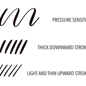 Procreate Lettering Brush Set Reign Calligraphy Brush - Etsy