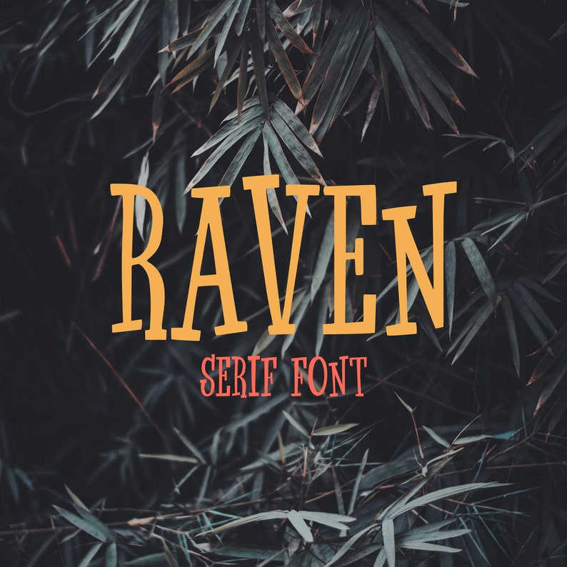 Raven Font: Quirky Handwritten Serif Font (.OTF) - Etsy