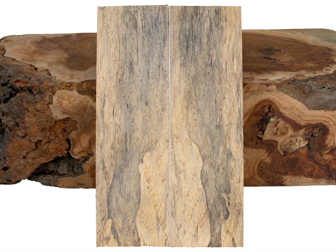 Stabilized Spalted Pecan Scales ONE-OF-A-KIND - Etsy