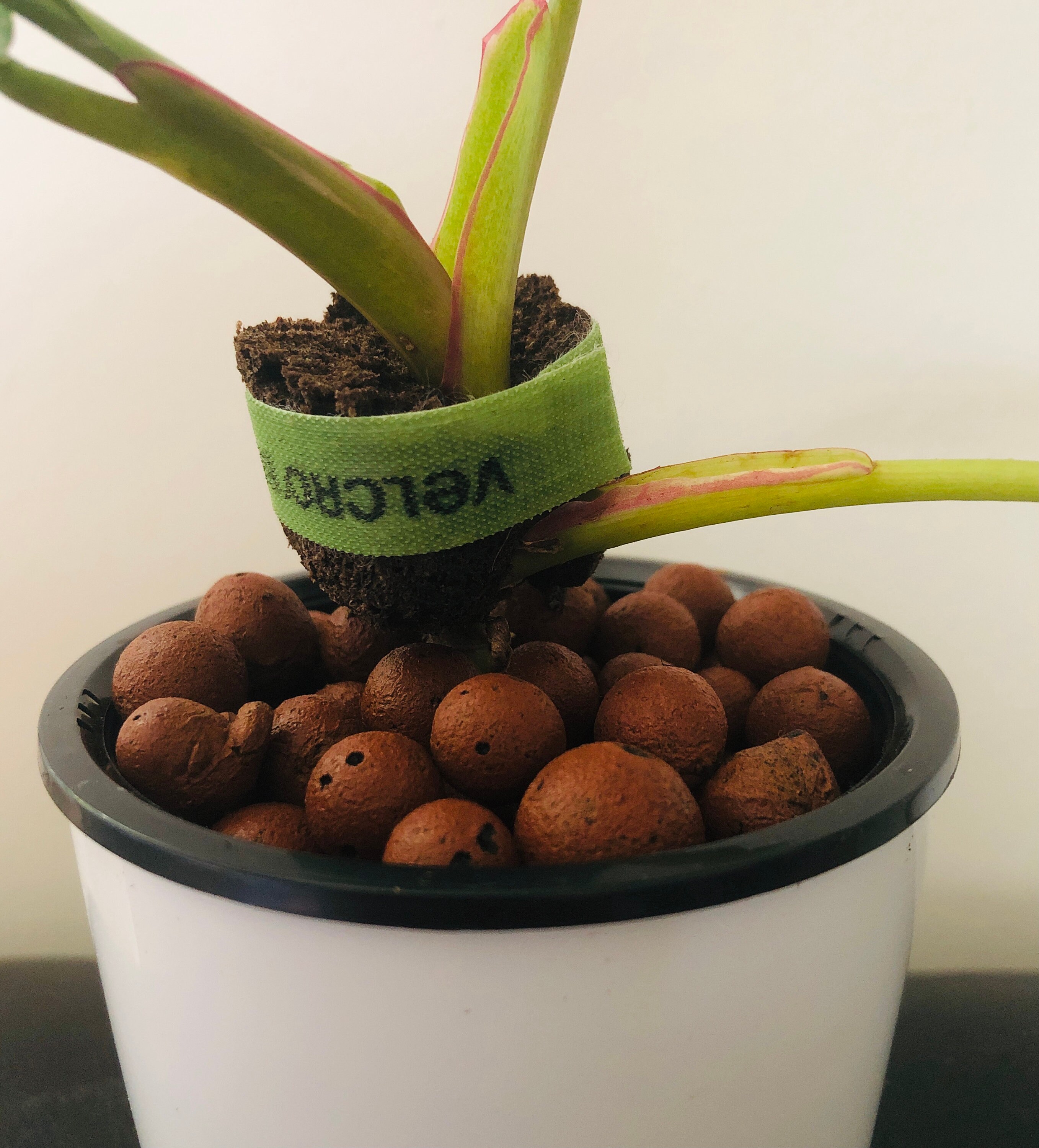 Air Layer Kit | Etsy