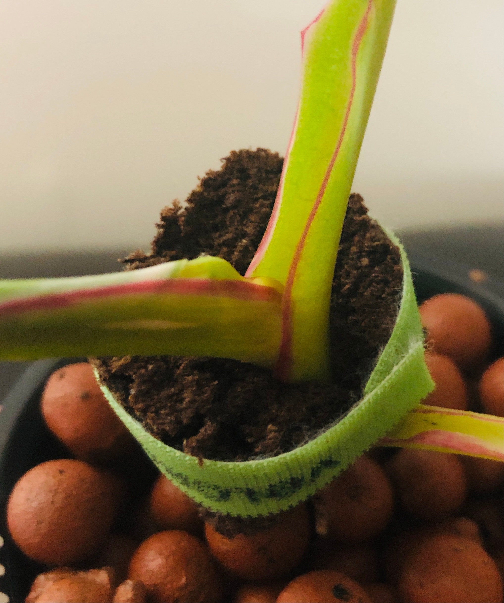 Air Layer Kit | Etsy