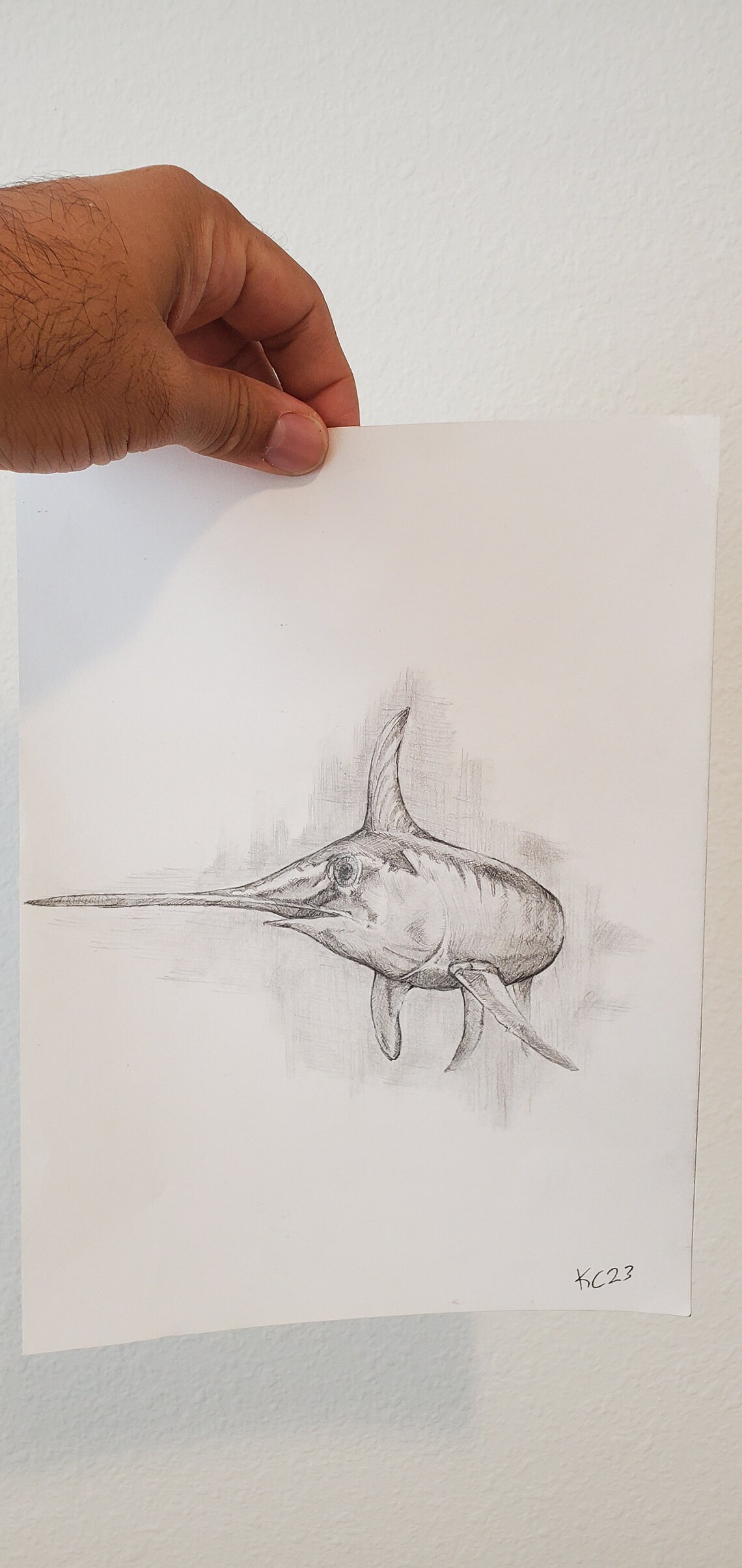 Original Swordfish Drawing on Paper, Detailed Wildlife Art for Home ...
