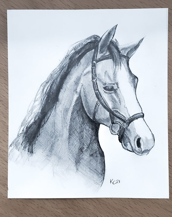 Dibujos A Lápiz De Caballos