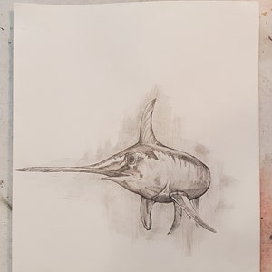 Original Swordfish Drawing on Paper, Detailed Wildlife Art for Home ...