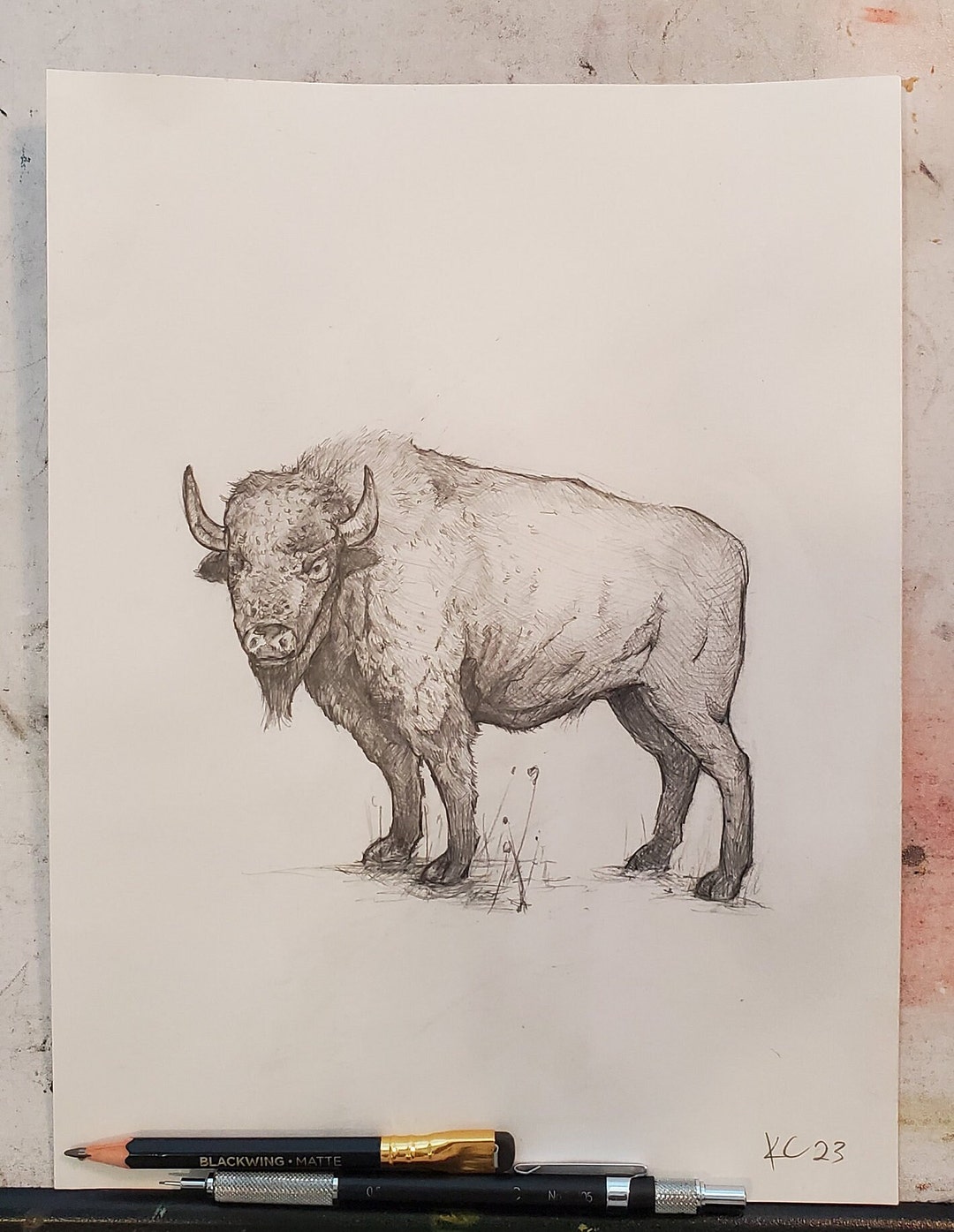 Bison Drawing on Paper, A Majestic Animal in Its Natural Habitat ...