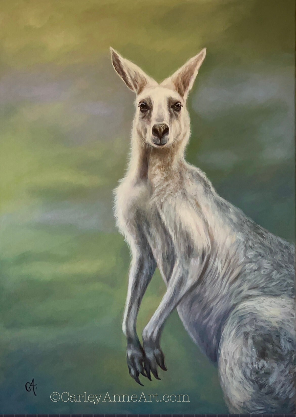 Kangaroo Painting