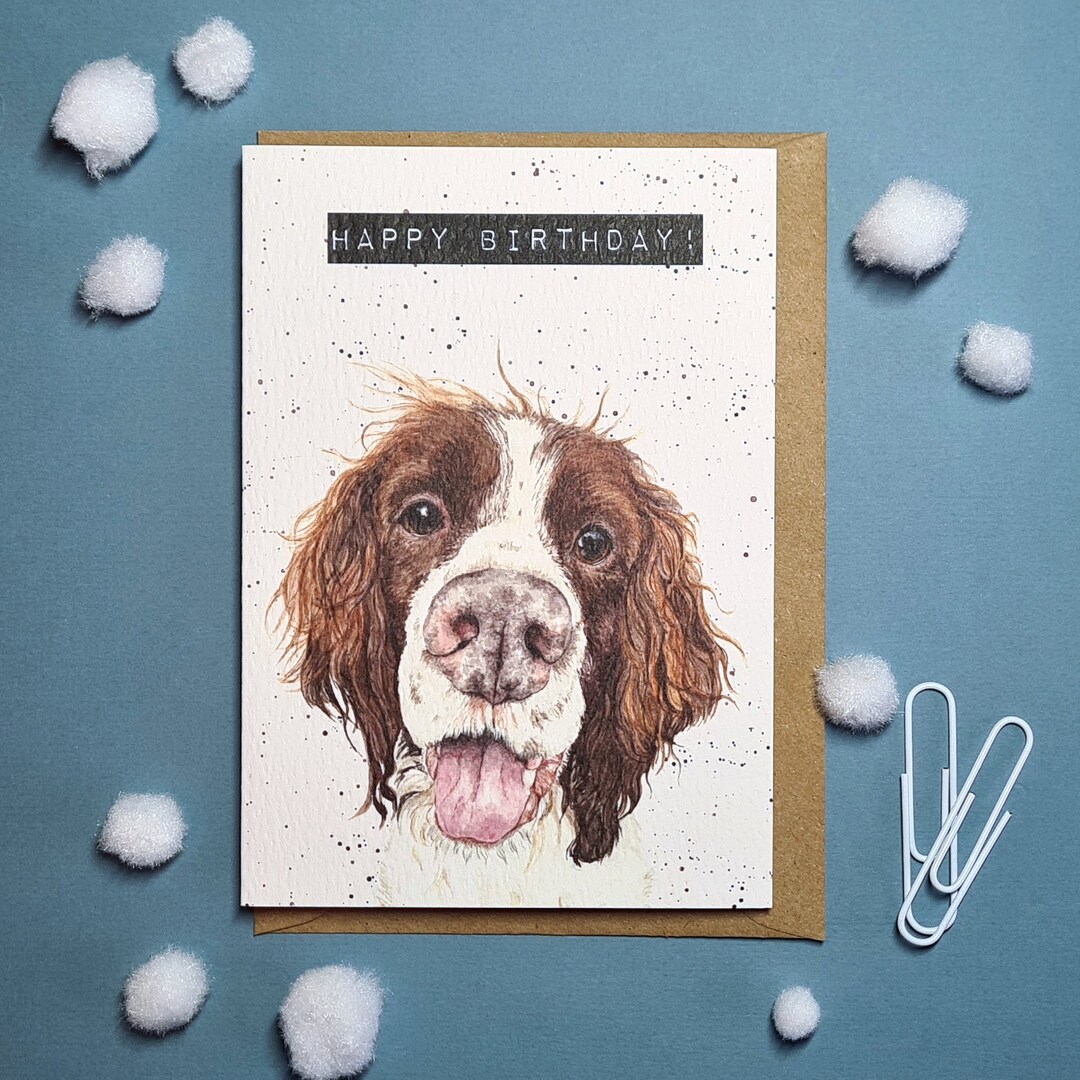 Springer Spaniel Dog Birthday Card Springer Spaniel Big Nose Card Dog ...