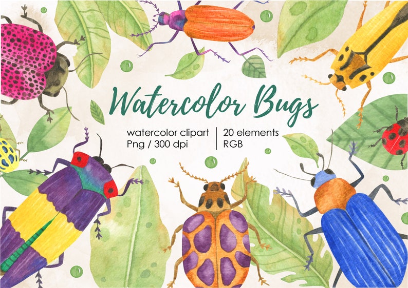 Watercolor Bugs Clipart. Insects Clipart, Beetles Clipart, Scarabs ...