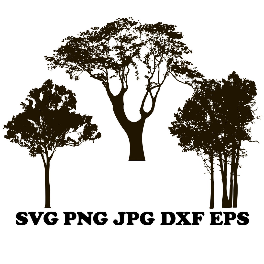 African Tree Clip Art Savana Flora Digital Art Pack Slim Tall Tree ...