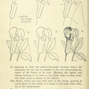 Drawing Made Easy: A Helpful Book for Young Artists; the Way to Begin ...