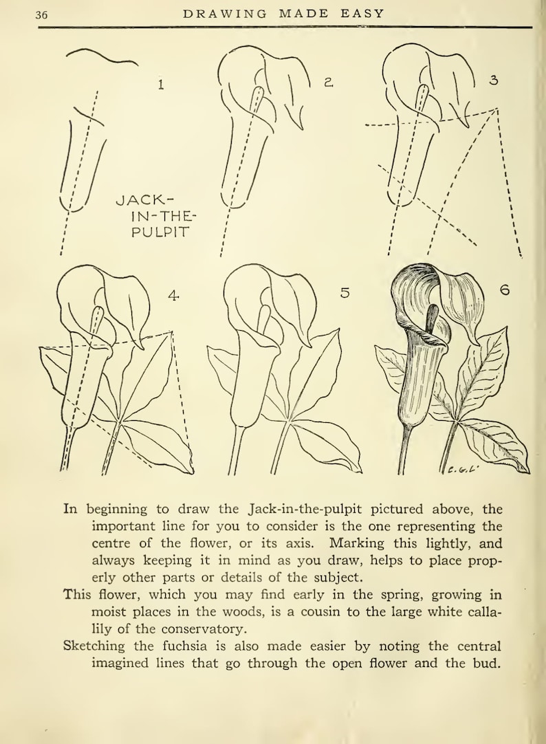 Vintage 1921 Drawing Made Easy Book by E.G. Lutz (PDF E-book) - Etsy