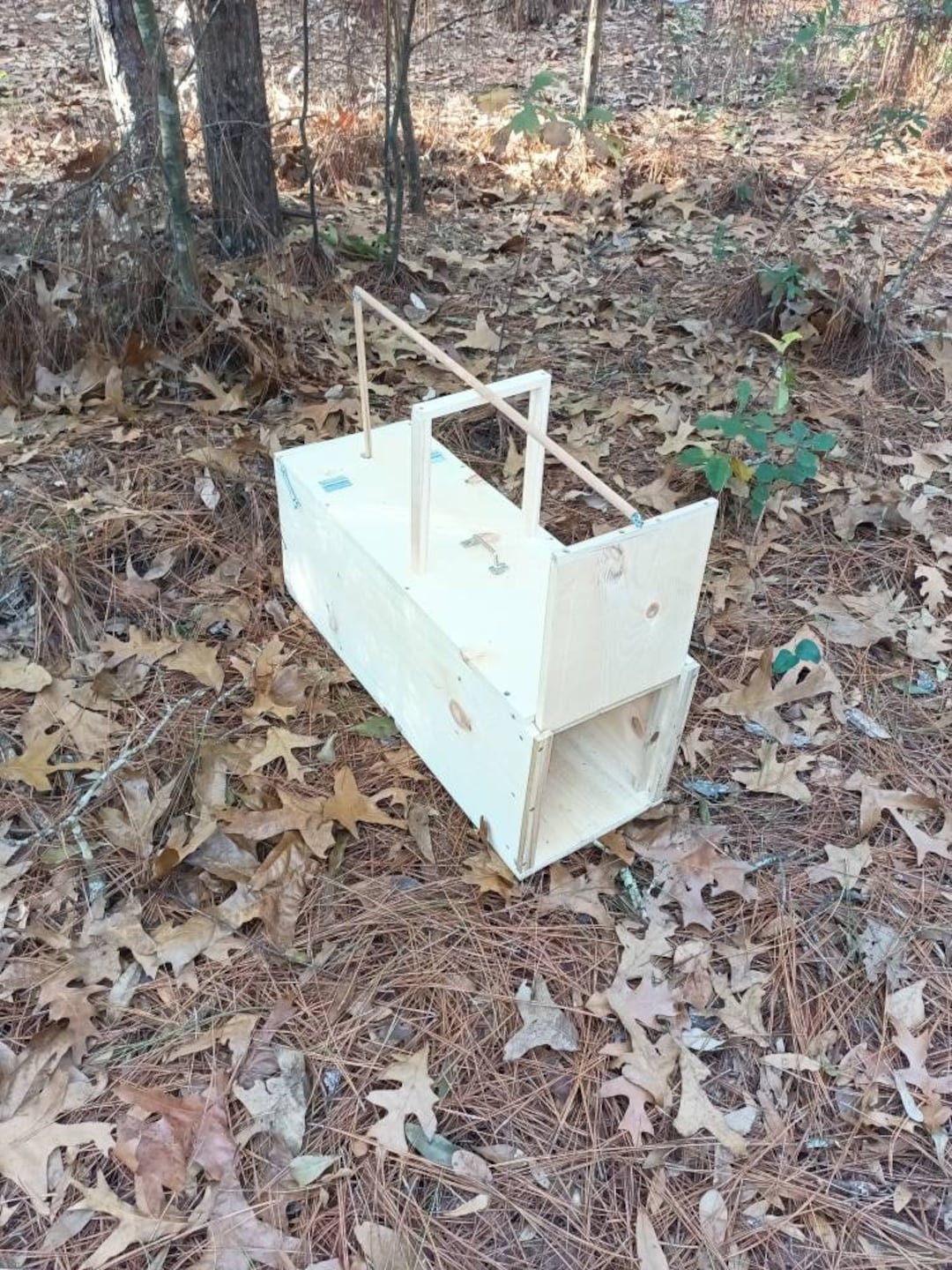Brand New Sturdy Pine Wood Box Trap Great for Trapping Foxes, Cats ...