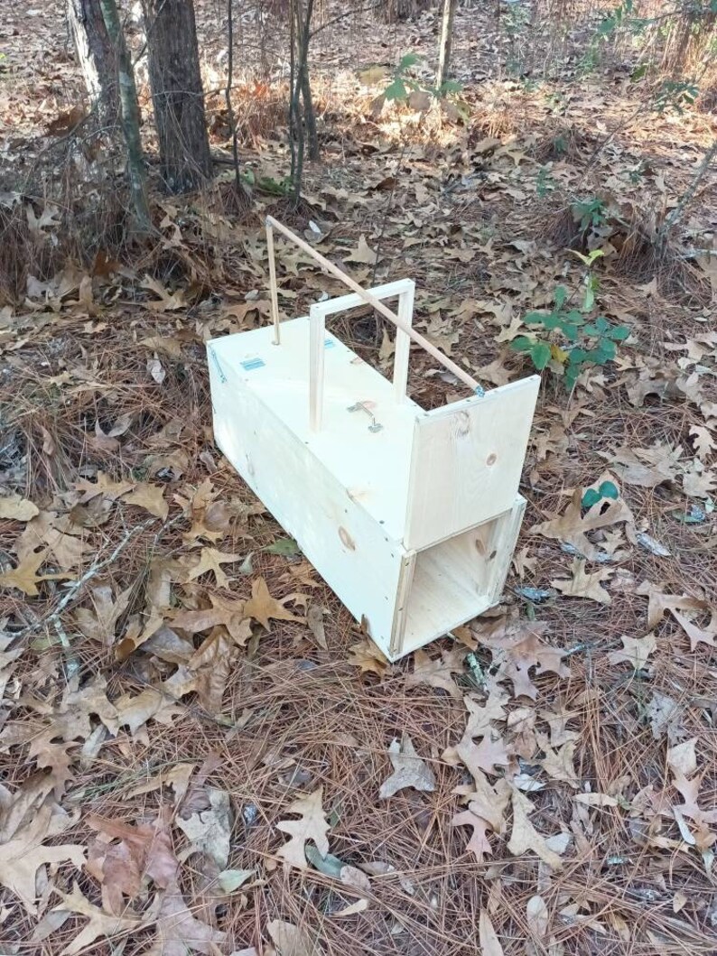 Brand New Sturdy Pine Wood Box Trap Great for Trapping Foxes, Cats ...