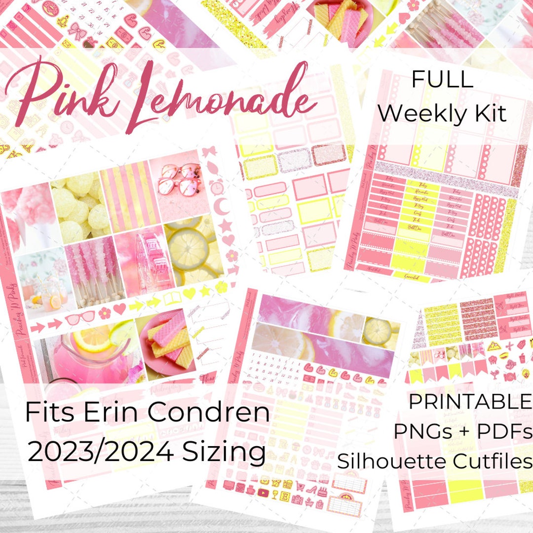 Pink Lemonade 2023-2024 Erin Condren Vertical Weekly Photo Kit ...