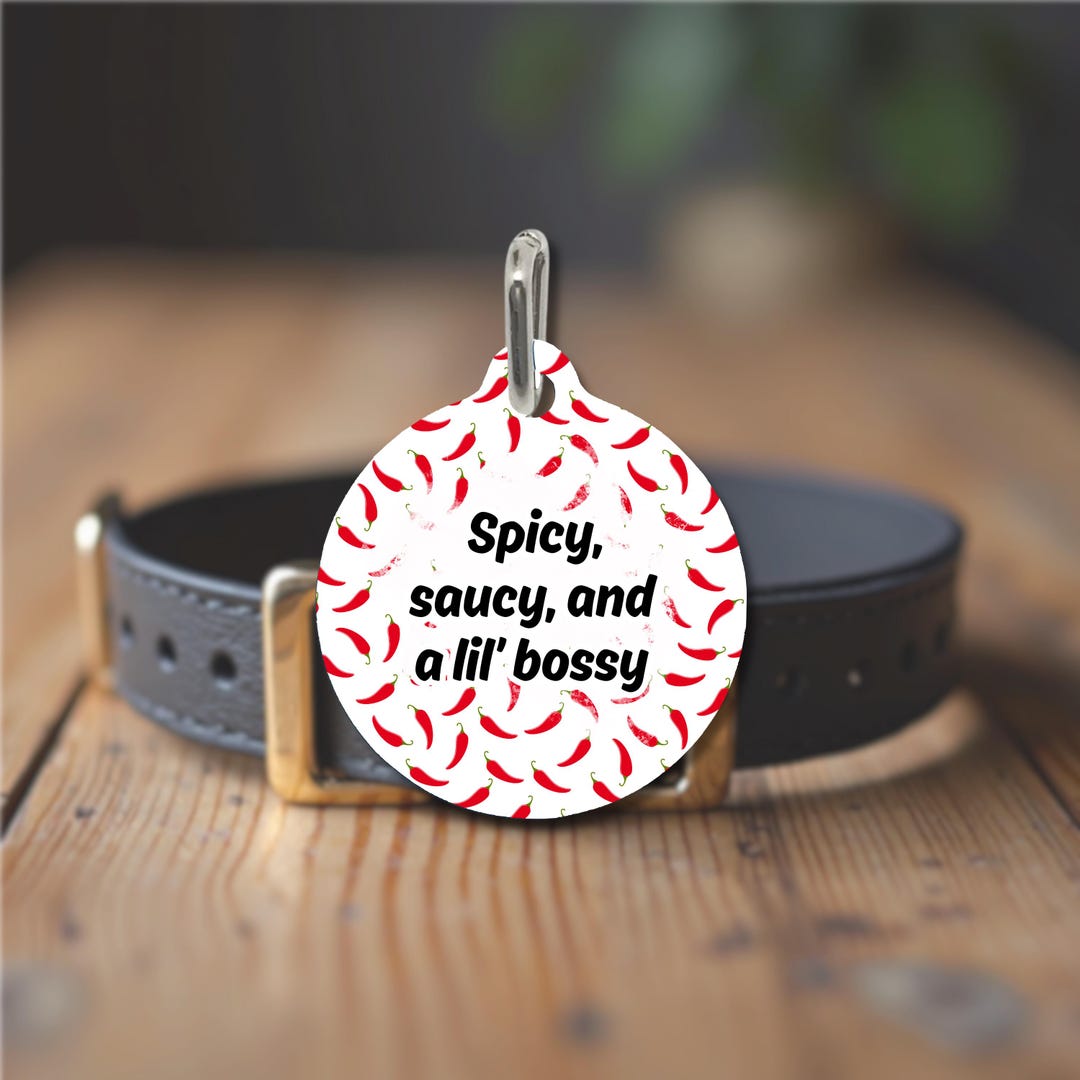 Spicy Saucy and a Lil' Bossy Dog Tag - Funny Name Tag for Pets With ...