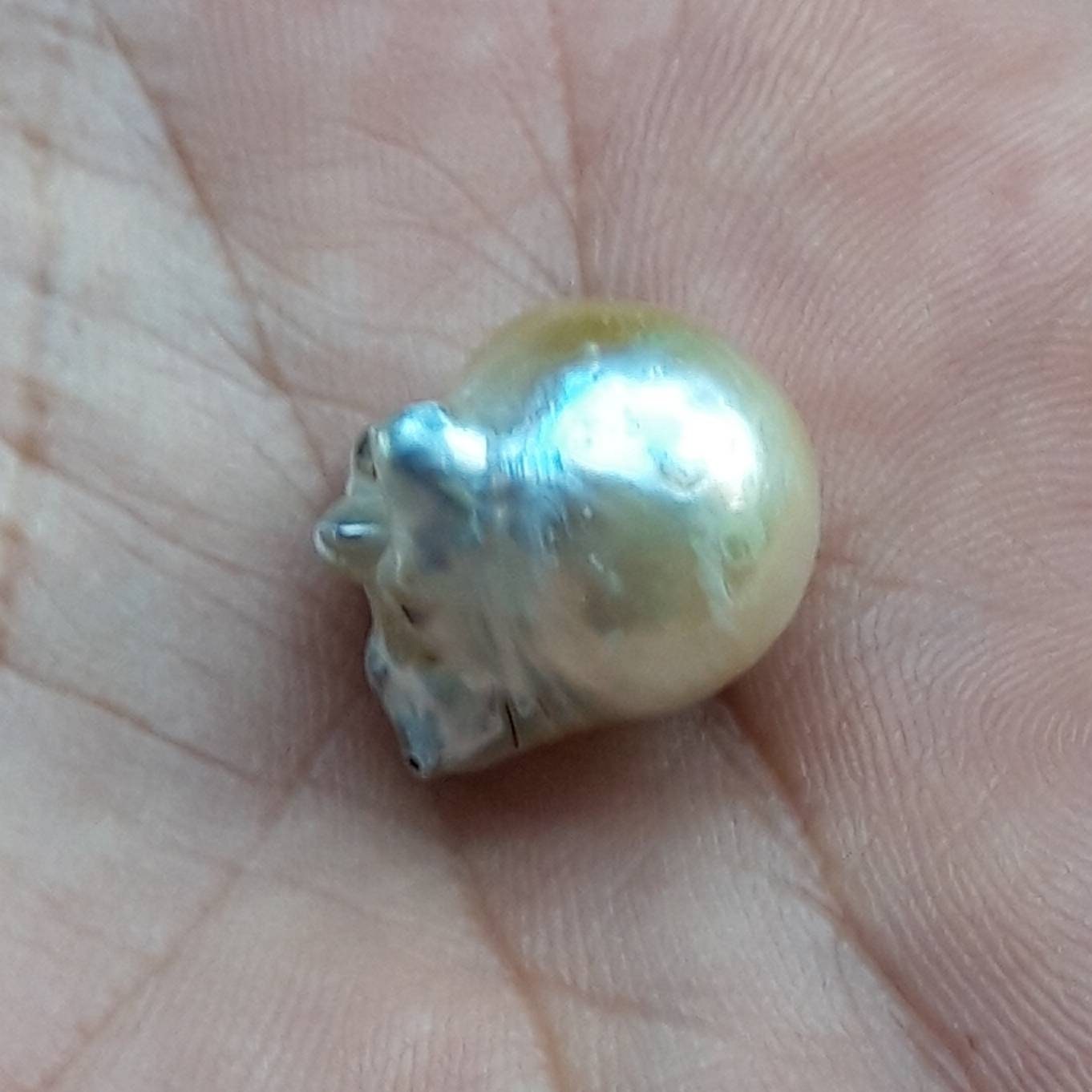 Giant South Sea Pearl Gold Baroque Pearl Natural Loose | Etsy