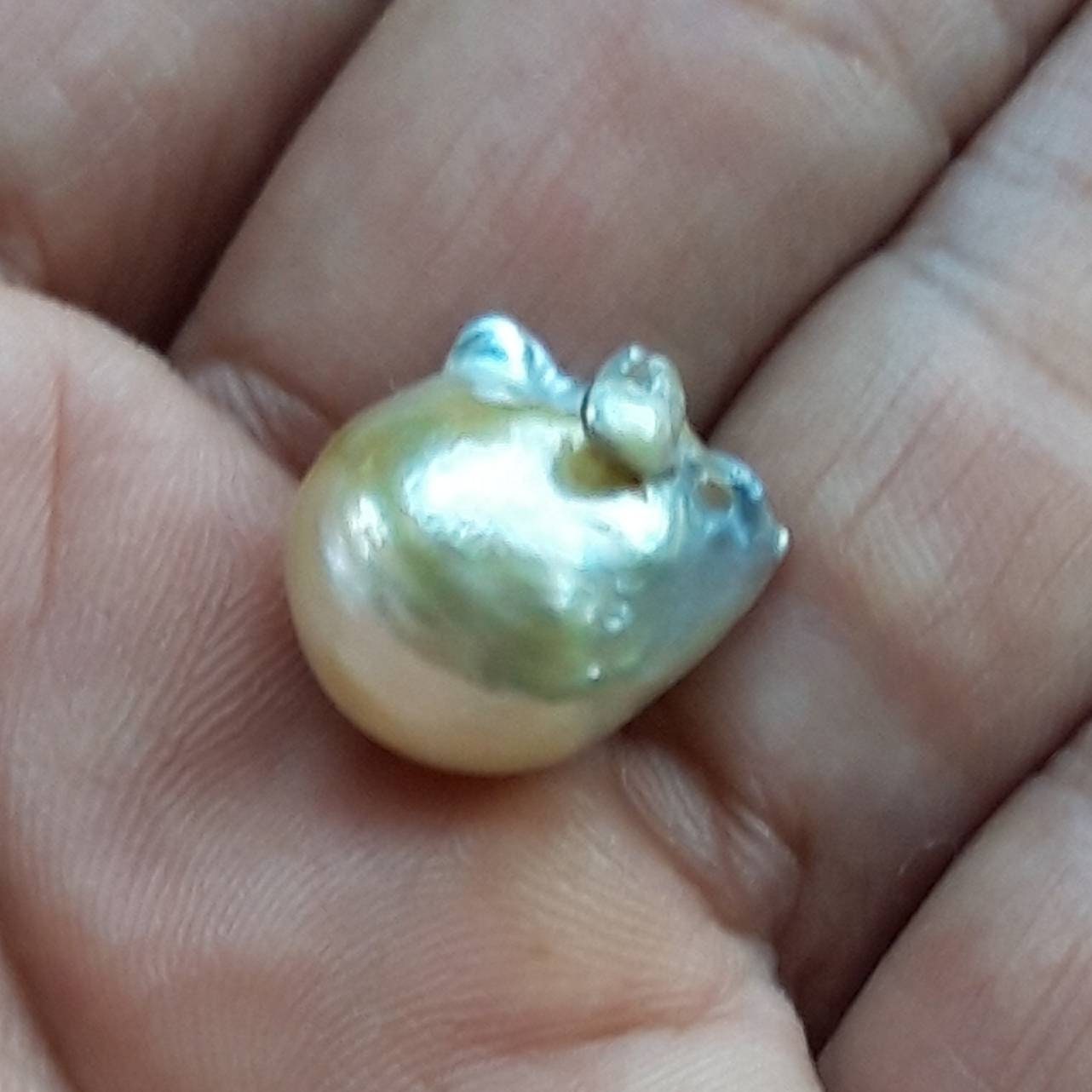 Giant South Sea Pearl Gold Baroque Pearl Natural Loose | Etsy