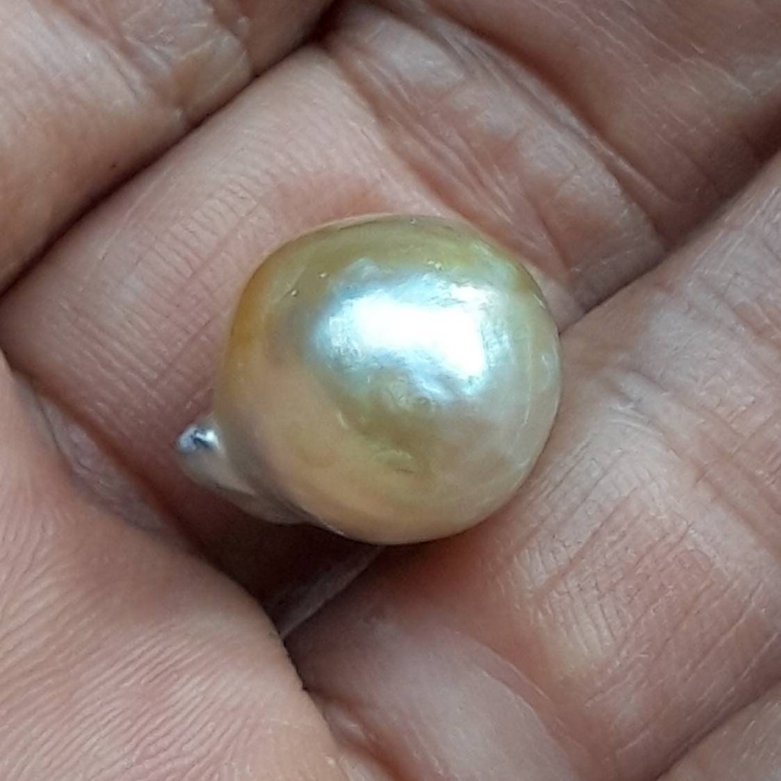 Giant South Sea Pearl Gold Baroque Pearl Natural Loose | Etsy