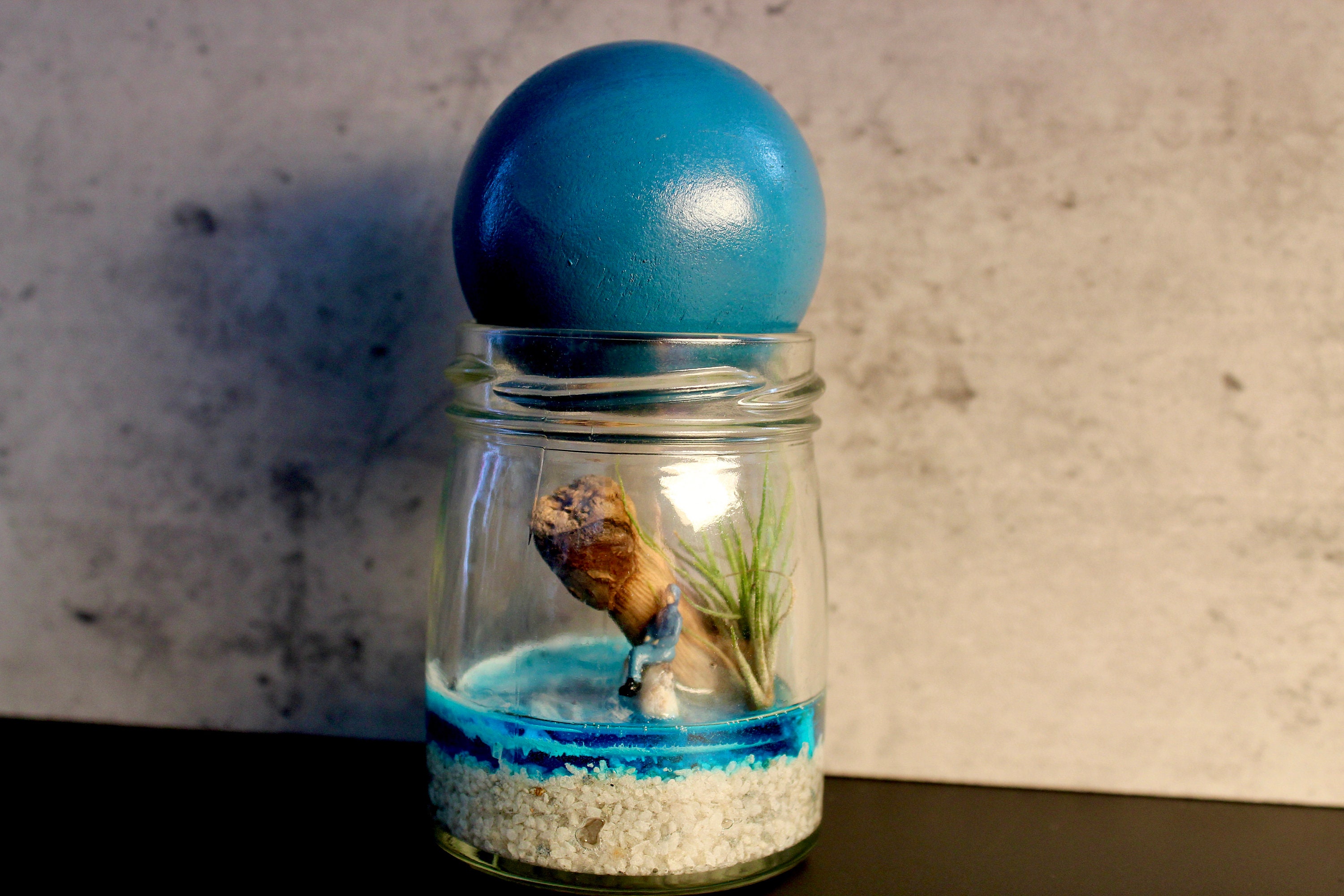Micro Terrarium With Figurine | Live Terrarium | Air Plant Terrarium ...