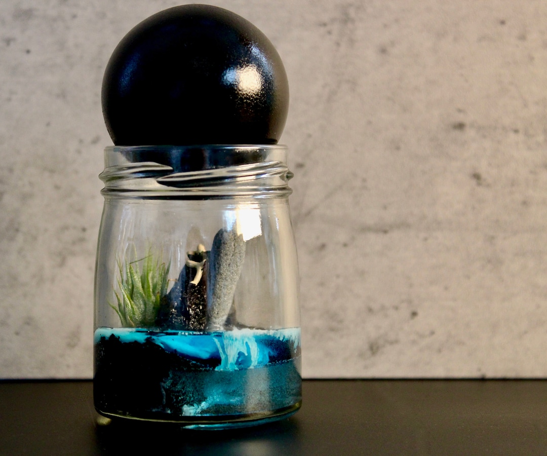 Micro Terrarium With Figurine | Live Terrarium | Air Plant Terrarium ...