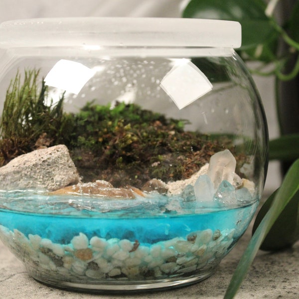 Crystal Garden Terrarium - Etsy