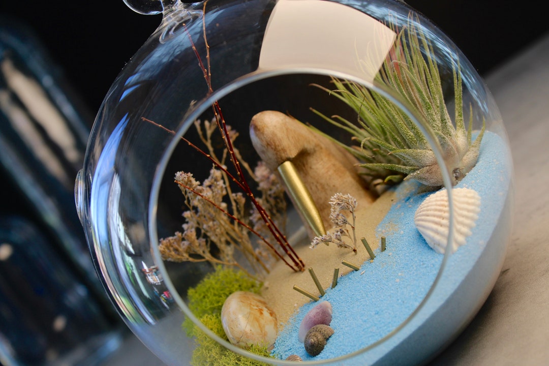 Sea Bird Sceneterrarium Kit | Aerium Kit | Hanging Terrarium | Table ...
